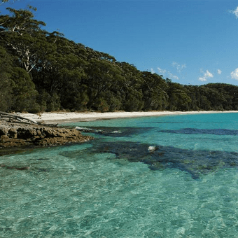 News | Booderee National Park | Parks Australia