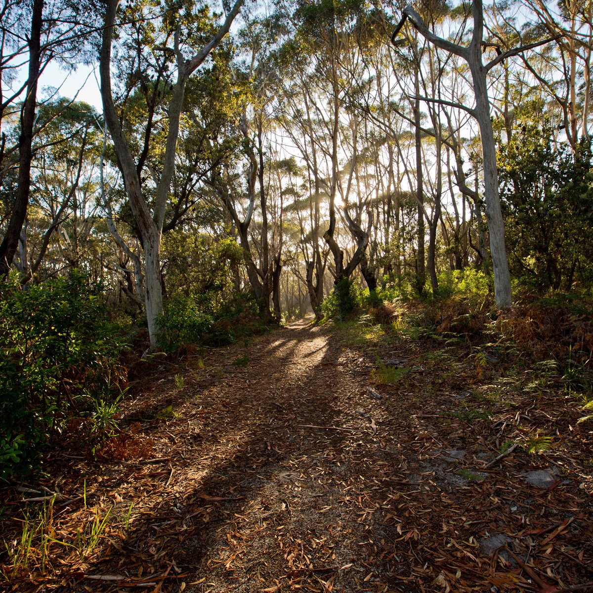 About | Booderee National Park | Parks Australia