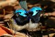 Discover Booderee | Booderee National Park | Parks Australia