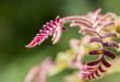 Discover Booderee | Booderee National Park | Parks Australia
