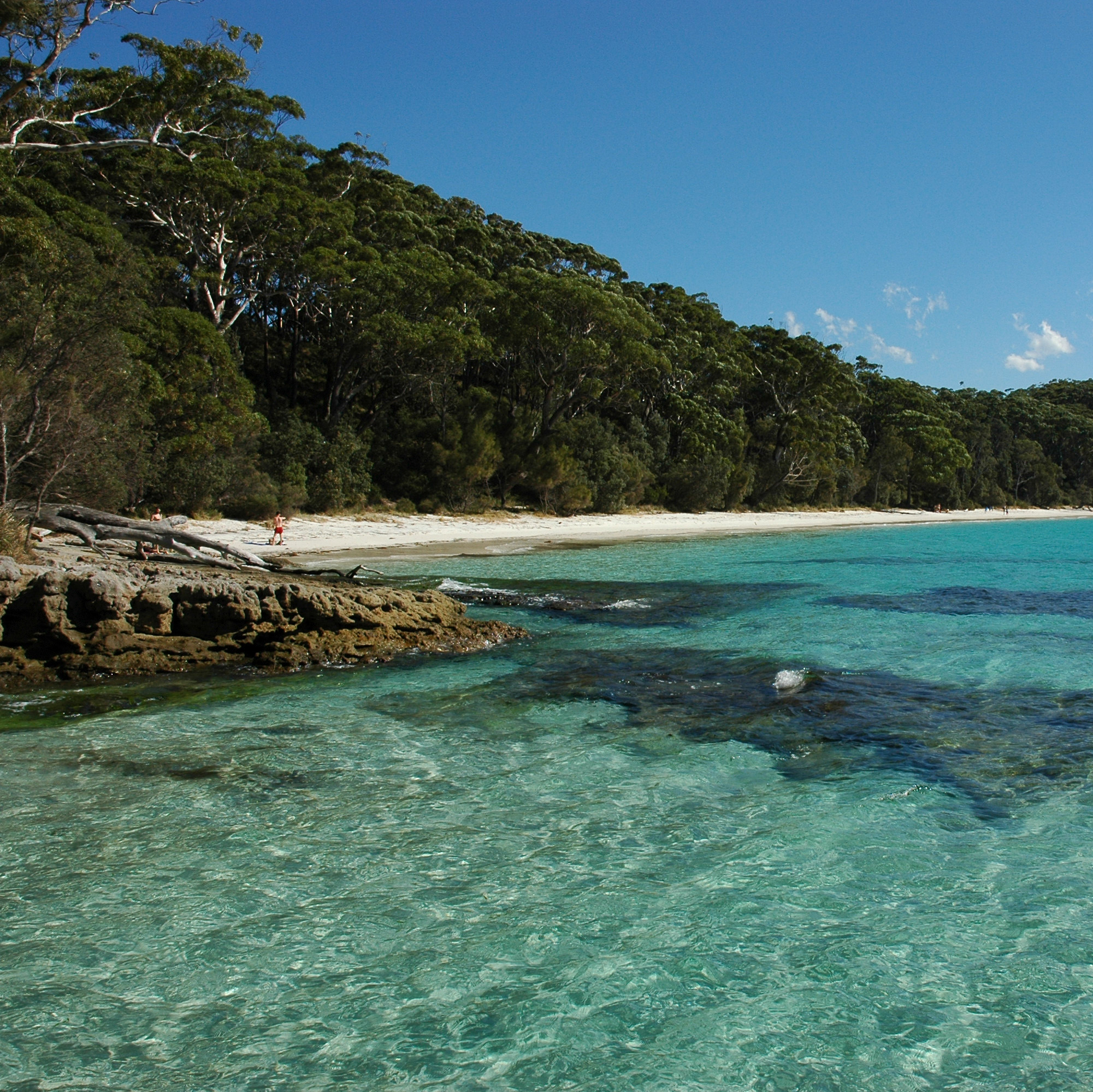 Ultra-marathon through Booderee National Park this weekend | Booderee ...