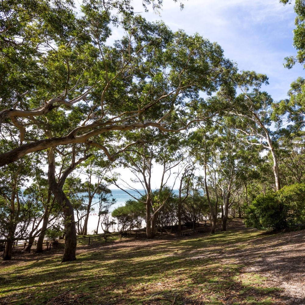 Upgrades coming to Booderee National Park | Booderee National Park ...
