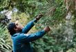 Discover Booderee | Booderee National Park | Parks Australia