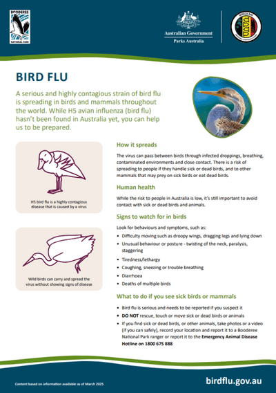 Bird flu | Booderee National Park | Parks Australia