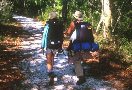 Green Patch beach | Booderee National Park | Parks Australia